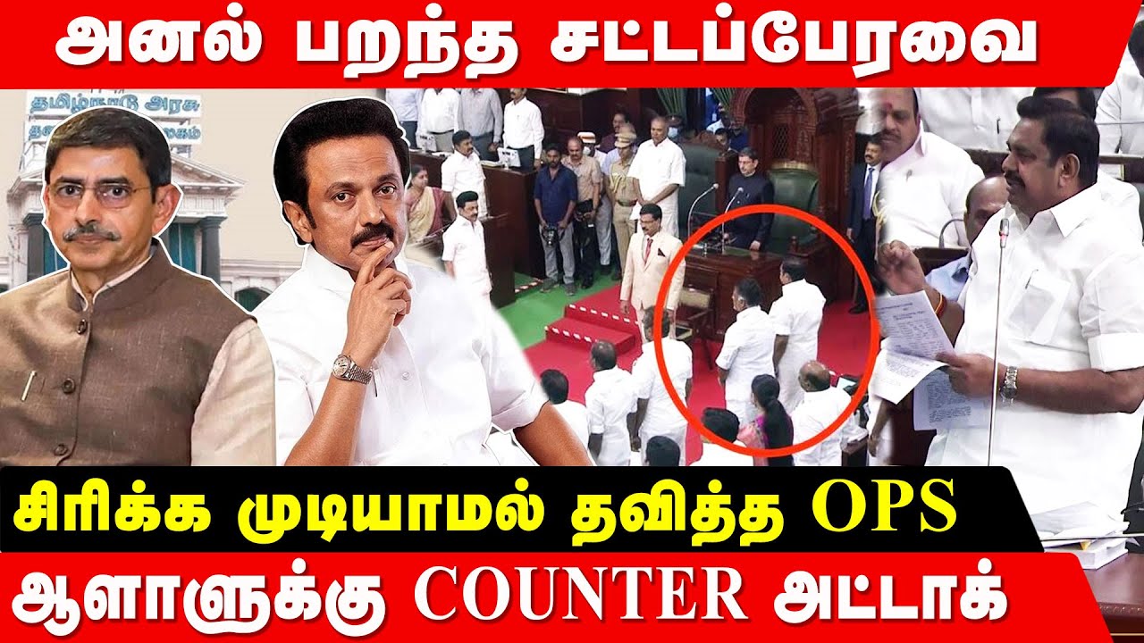 பூனைக்குட்டி வெளியே வந்துவிட்டது துரைமுருகன் கிண்டல் | TN Assembly ...