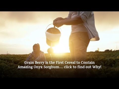 Grain Berry ONYX - YouTube
