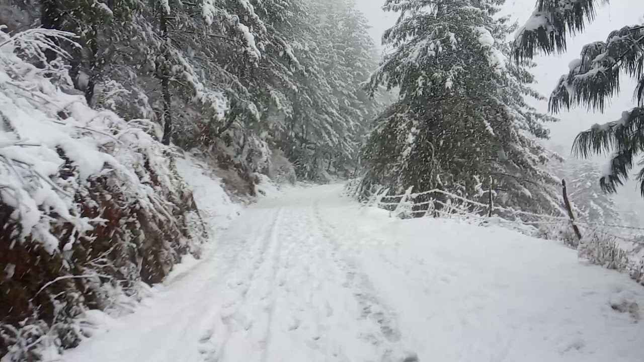 Snowfall at Dalash - YouTube