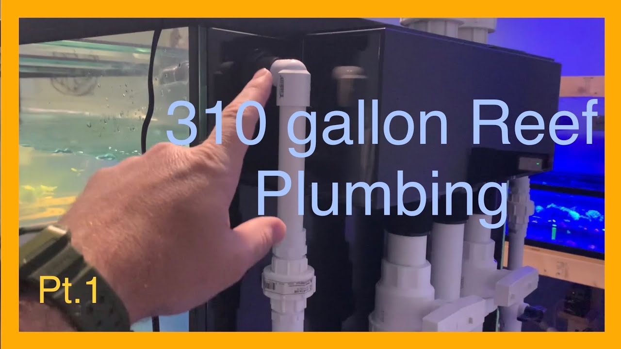 310 Gallon Reef Plumbing Tutorial pt.1 🤫(with sneak peak of the sump)🤫 ...