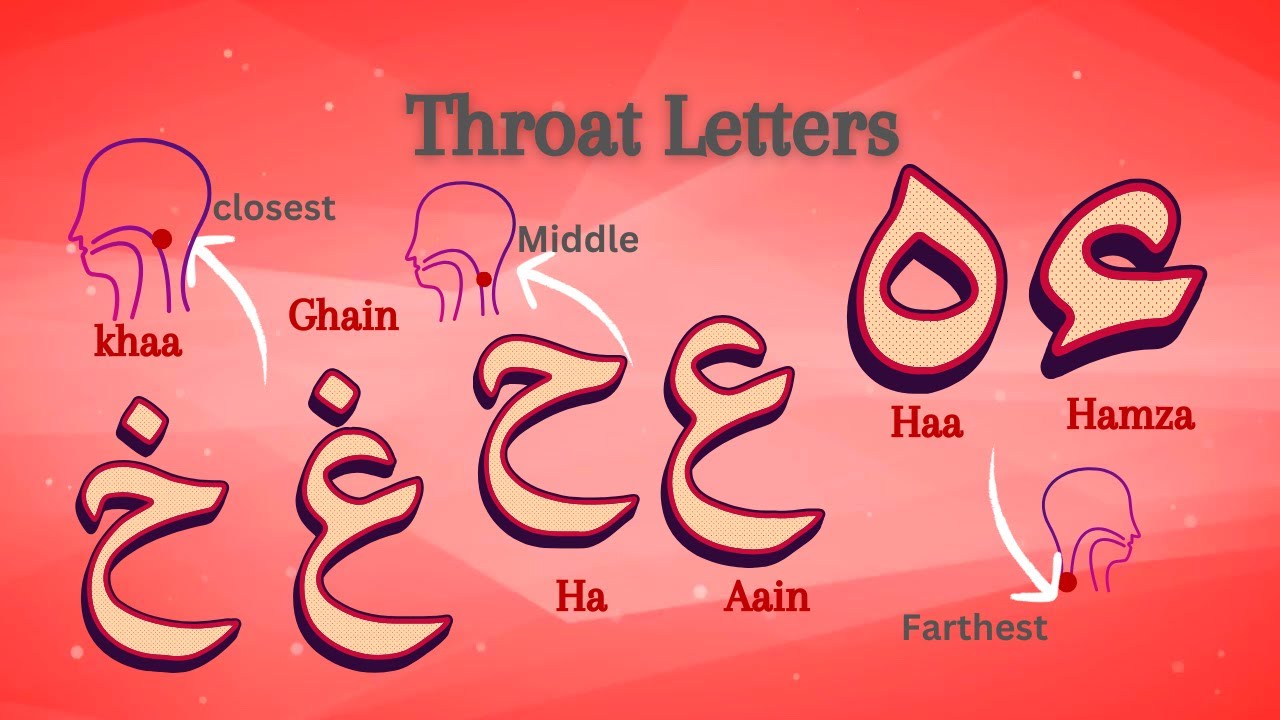 Quranic Tajweed, Makhraj Al Huruf Al Halaq, Throat Letters - YouTube