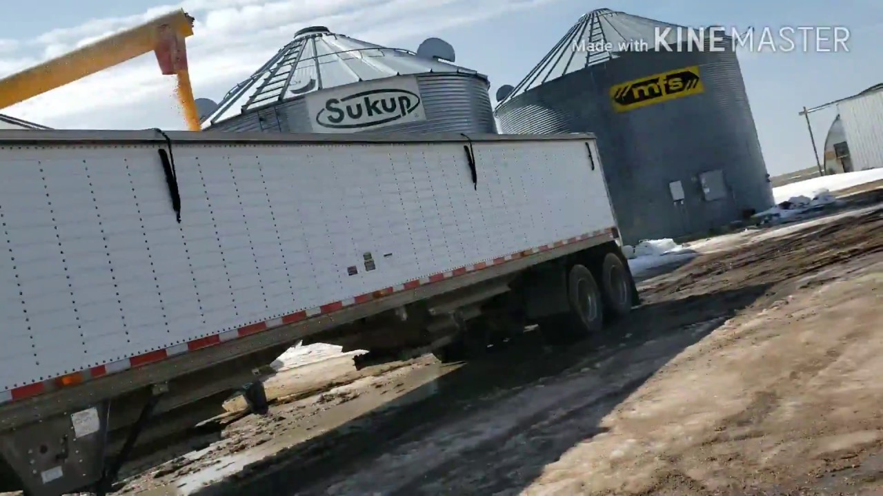 Hauling corn - YouTube