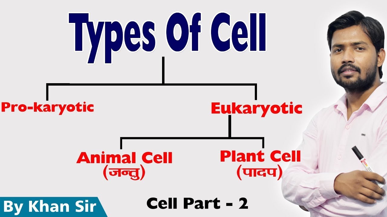 Cell / Part -2 (koshika) Types of cell & Organism - YouTube