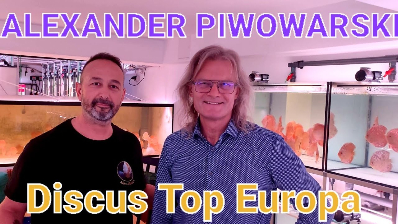 ALEXANDER PIWOWARSKI DISCUS | Diskuszucht - YouTube
