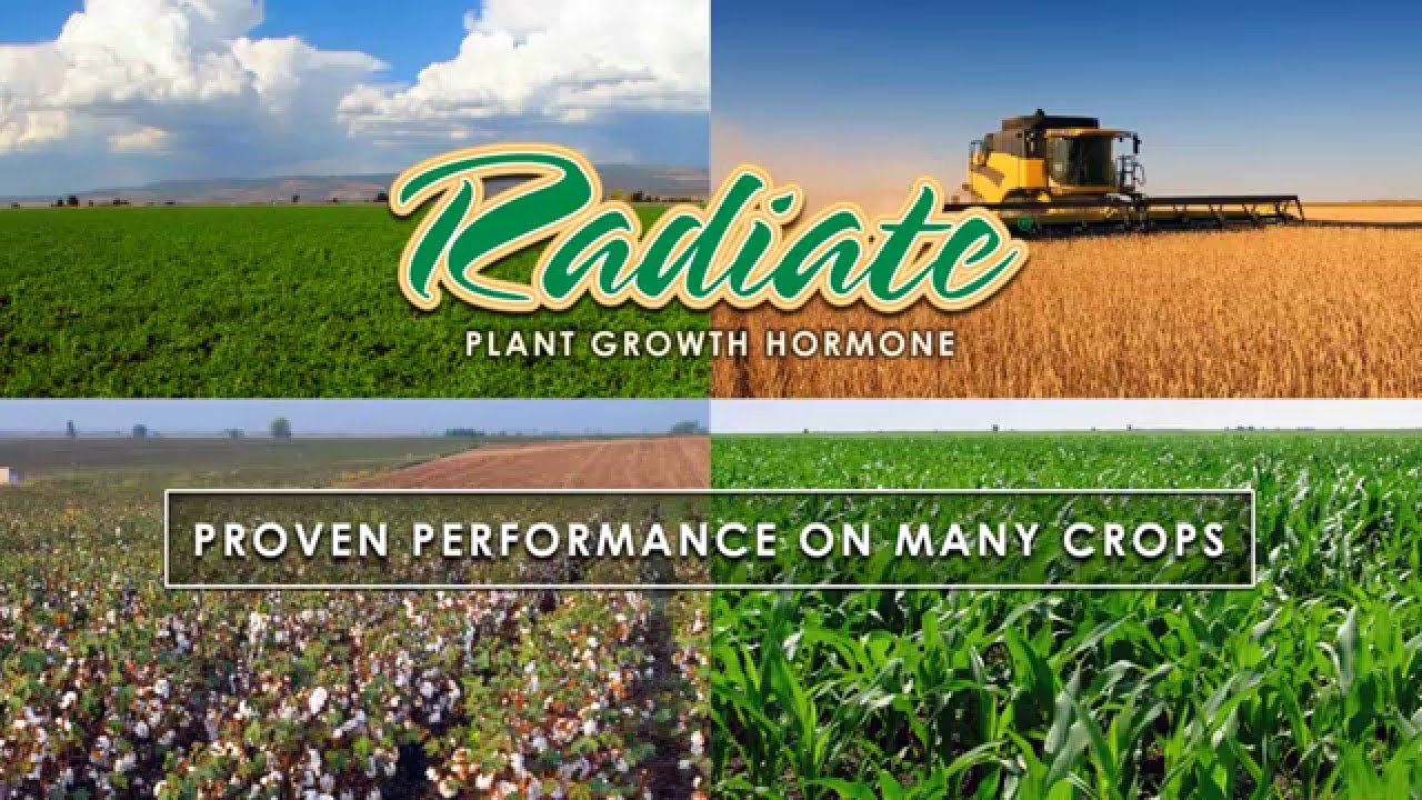 RADIATE: Maximizes Crop Potential - YouTube