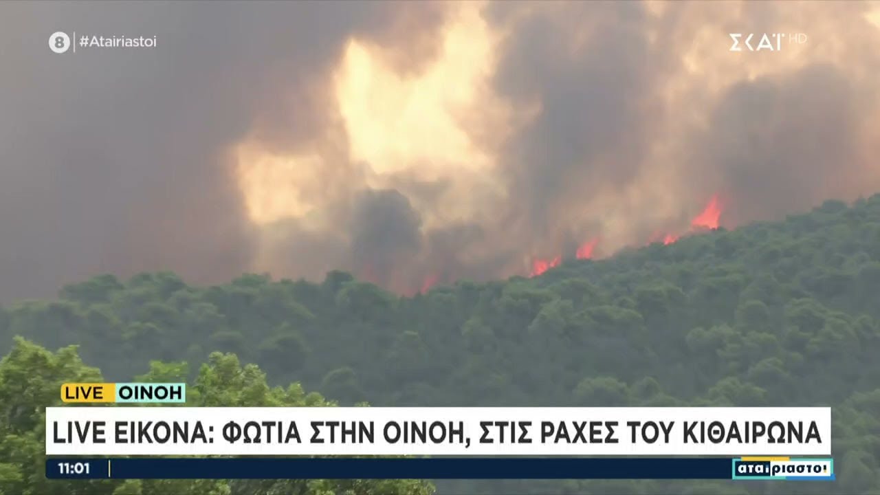 Αναζωπύρωση του μετώπου στην Οινόη – Φλόγες κατακαίνε το δάσος ...