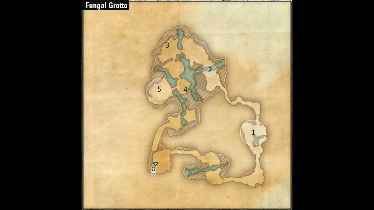Elder Scrolls Online Dungeons: Fungal Grotto I - YouTube