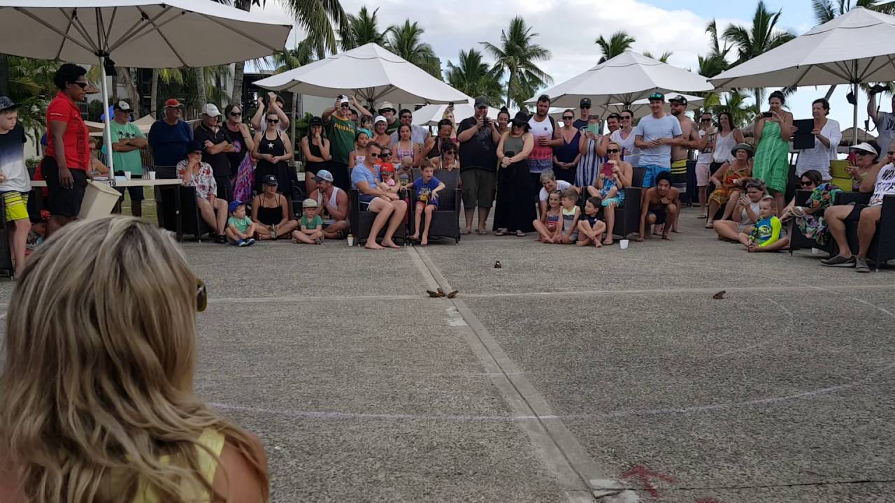 Fiji Frog Racing. - YouTube