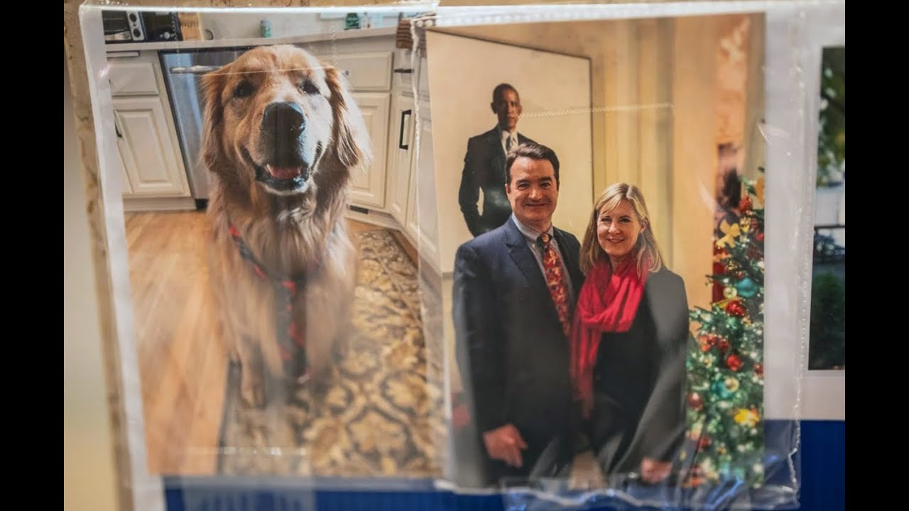 Heartbreaking Story: Gilbert, the Beloved Dog of Slain Lawmaker Melissa ...