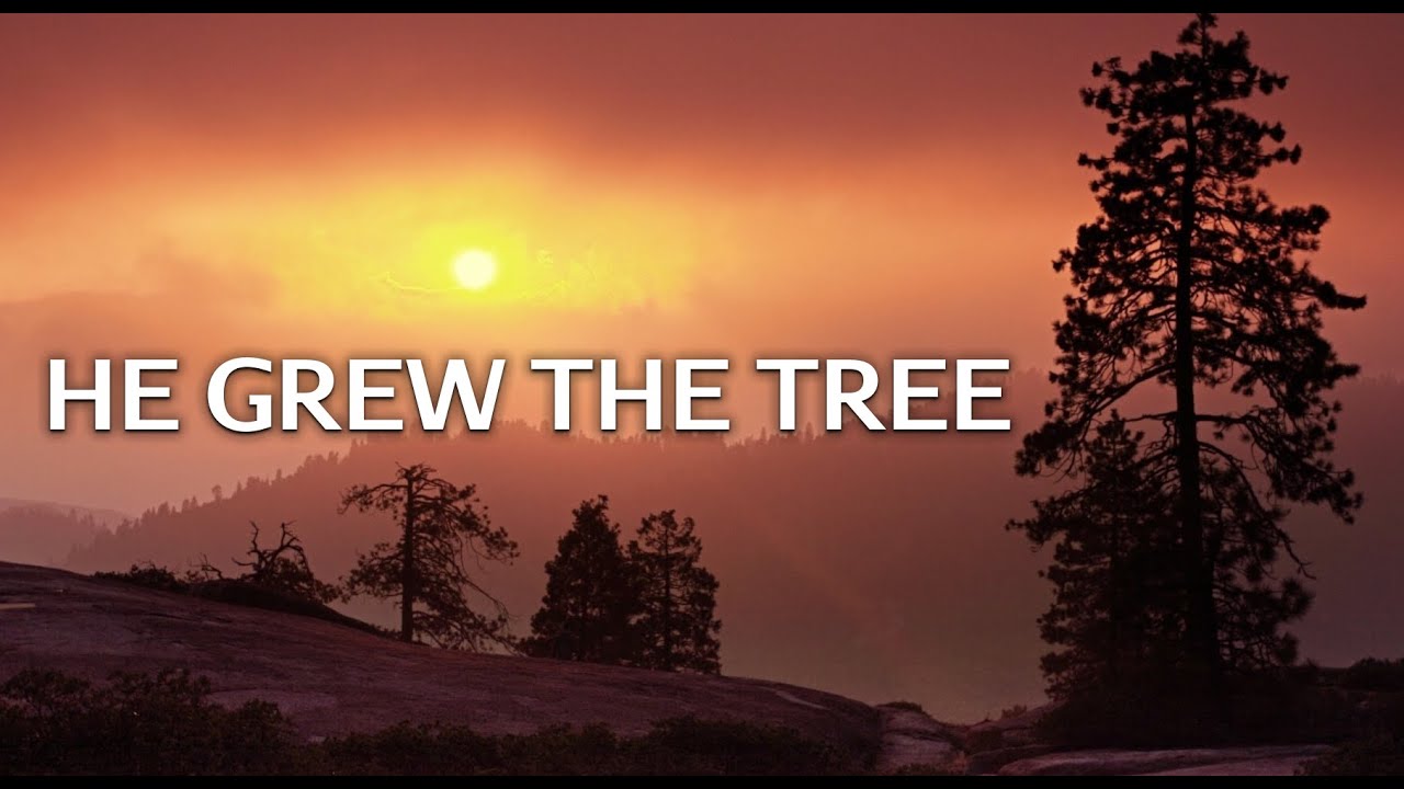 He Grew the Tree Jeff & Reiko - YouTube