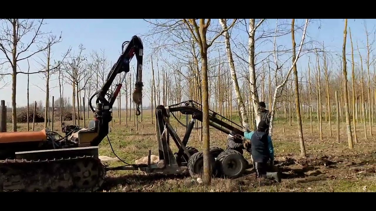 how to move trees || how to move trees in farming simulator || how do ...