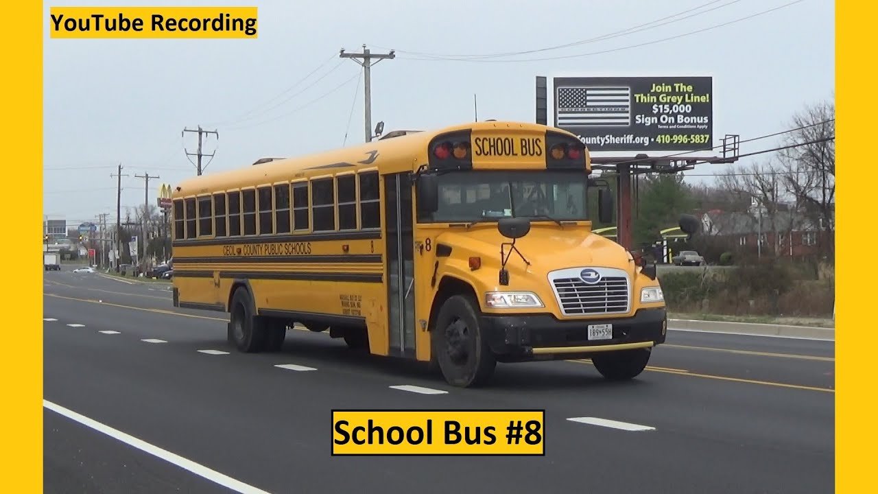 School Bus #8 - YouTube Recording - YouTube
