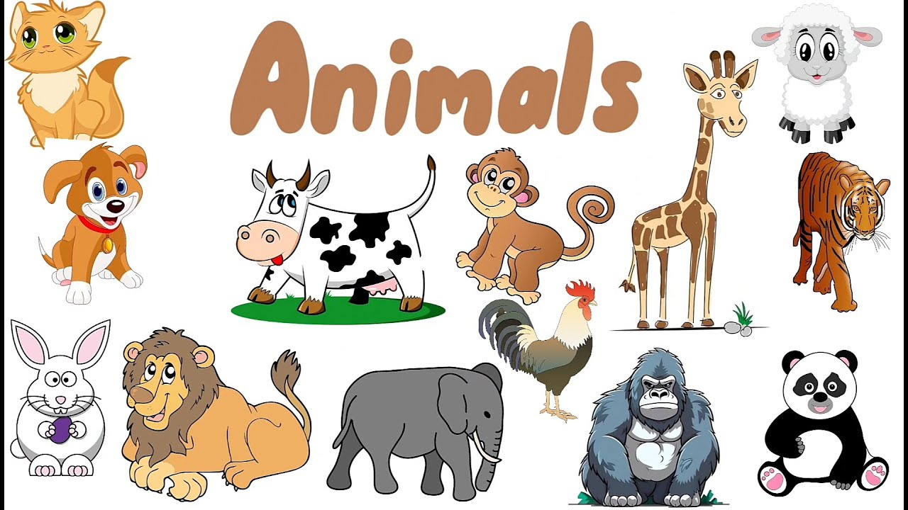 Common Animals For Kids