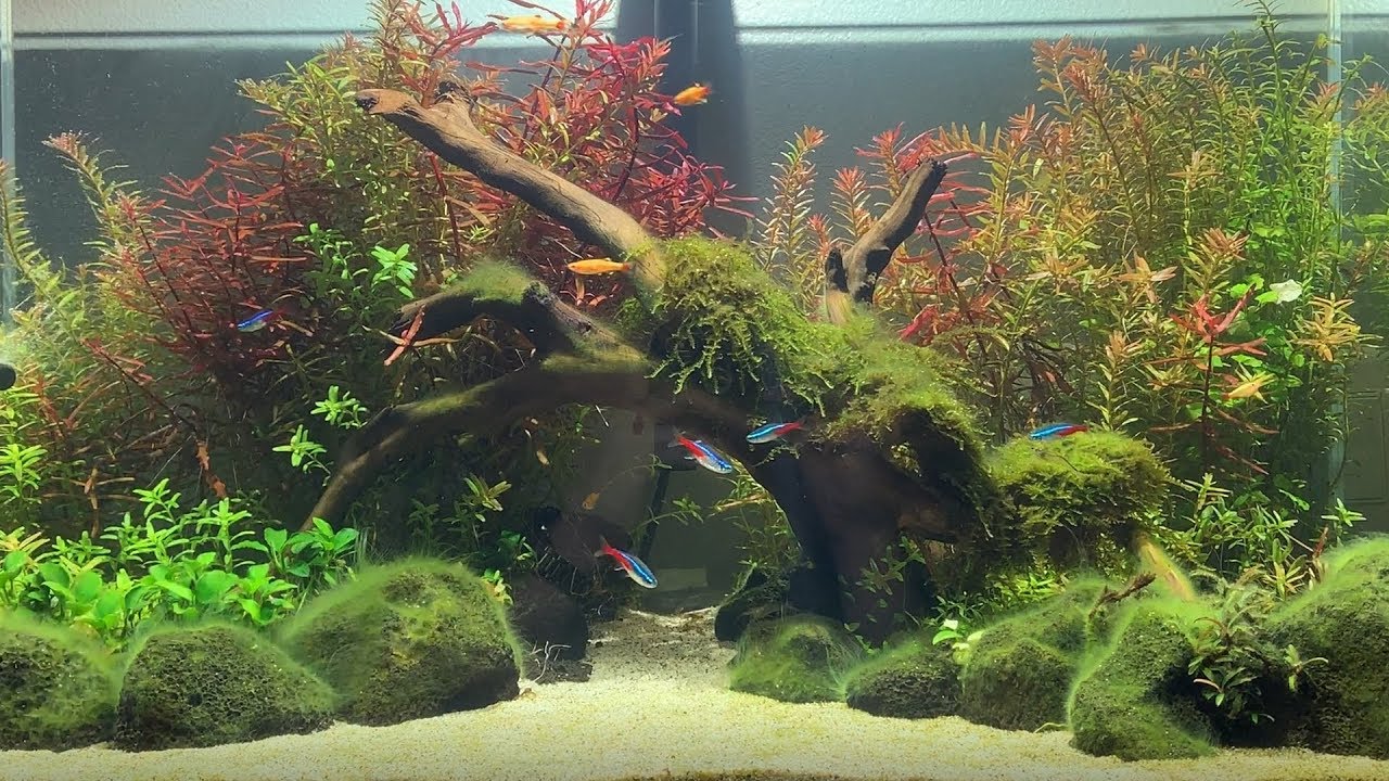 So Far So Good - YouTube