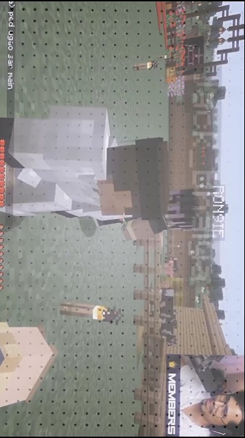 introducing the members of Lilyville day 1 🗿@GamerFleet #minecraft # ...