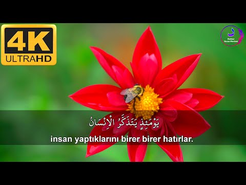 Fecr Suresi丨İslam Subhi ⁴ᴷ Muhteşem Kıraat ⁷丨Hayır! Doğrusu siz yetime ikram etmiyorsunuz.