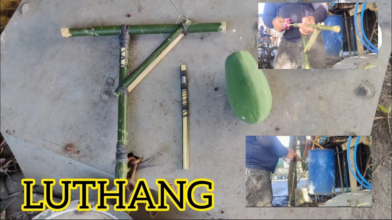 Bamboo Rifle with Papaya Bullet/Slingshot - YouTube