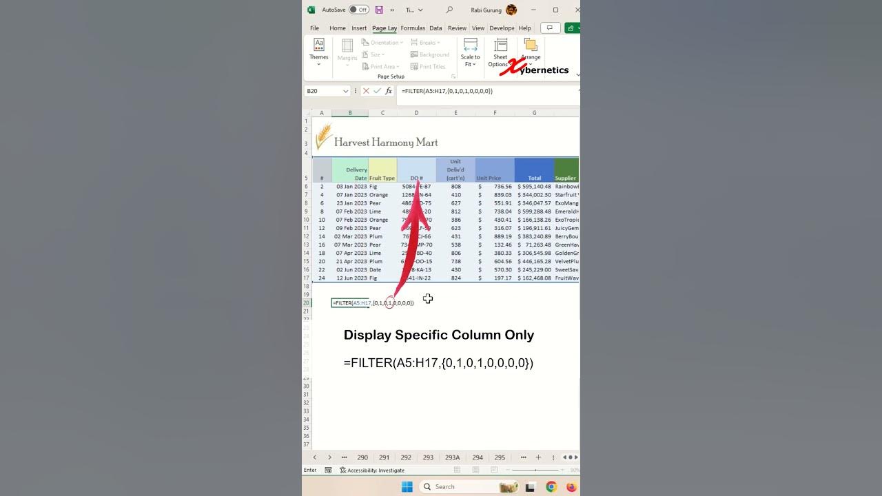 Filter Excel To Only Show Certain Columns Excel Tips And Tricks Youtube