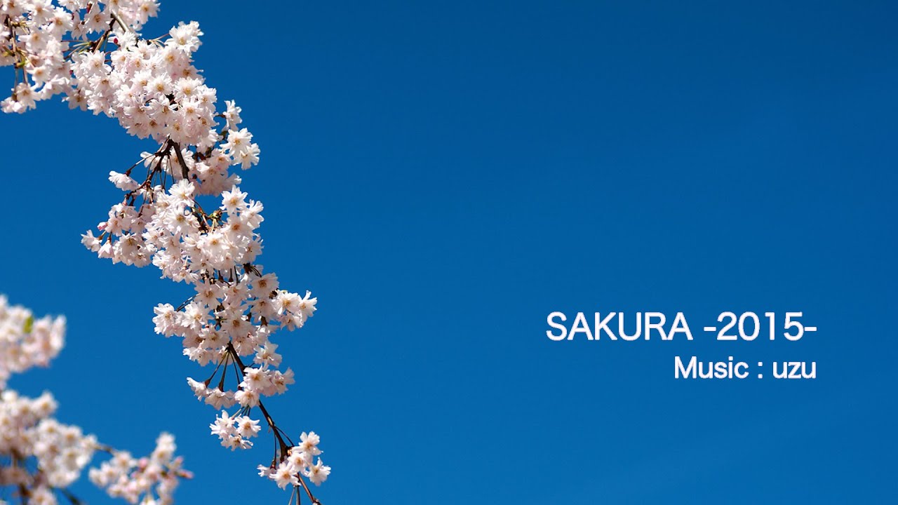 SAKURA 2015 [Pf solo] ｜ 桜 -2015-[ピアノソロ] - YouTube