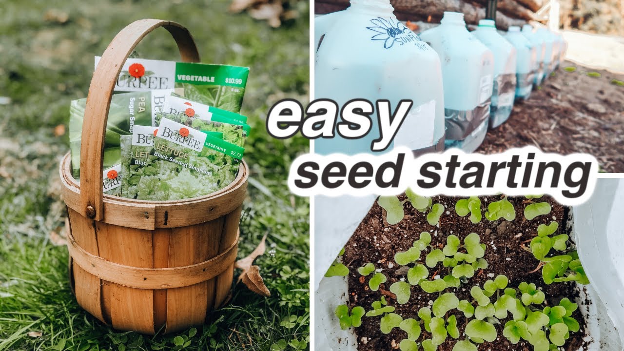 Winter Sowing | EASY Seed Starting | HOMESTEADING VLOG - YouTube