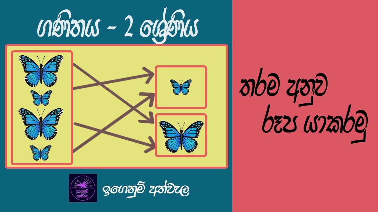 Maths Grade 2 | ගණිතය 2 ශ්‍රේණිය - තරම අනුව රූප යා කරමු. Lesson 3 ...