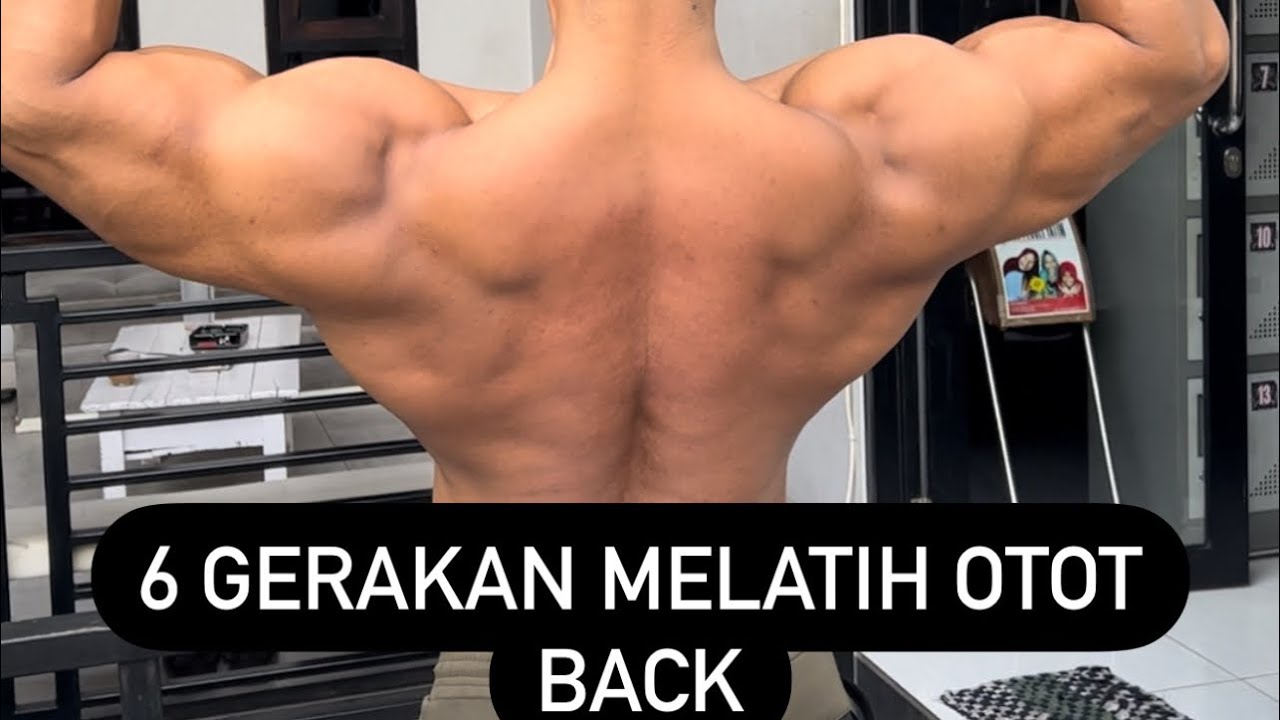 6 GERAKAN MELATIH OTOT BACK - YouTube