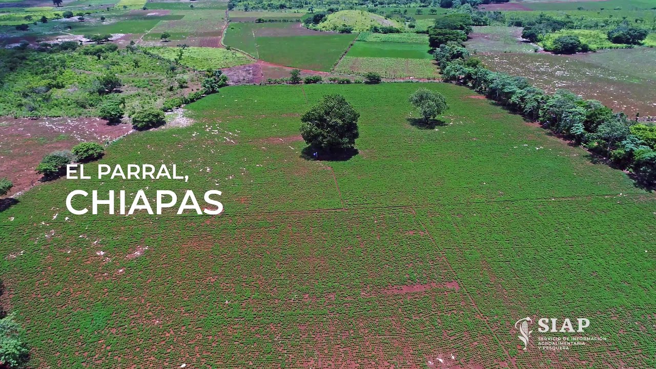 El Parral, Chiapas - YouTube