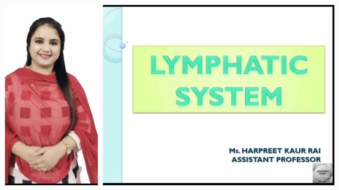 LYMPHATIC SYSTEM ( NOTES WITH EXPLANATION) - YouTube