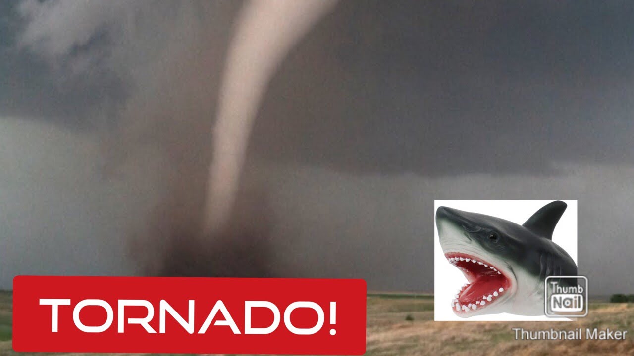 Shark puppet and the tornado disaster - YouTube