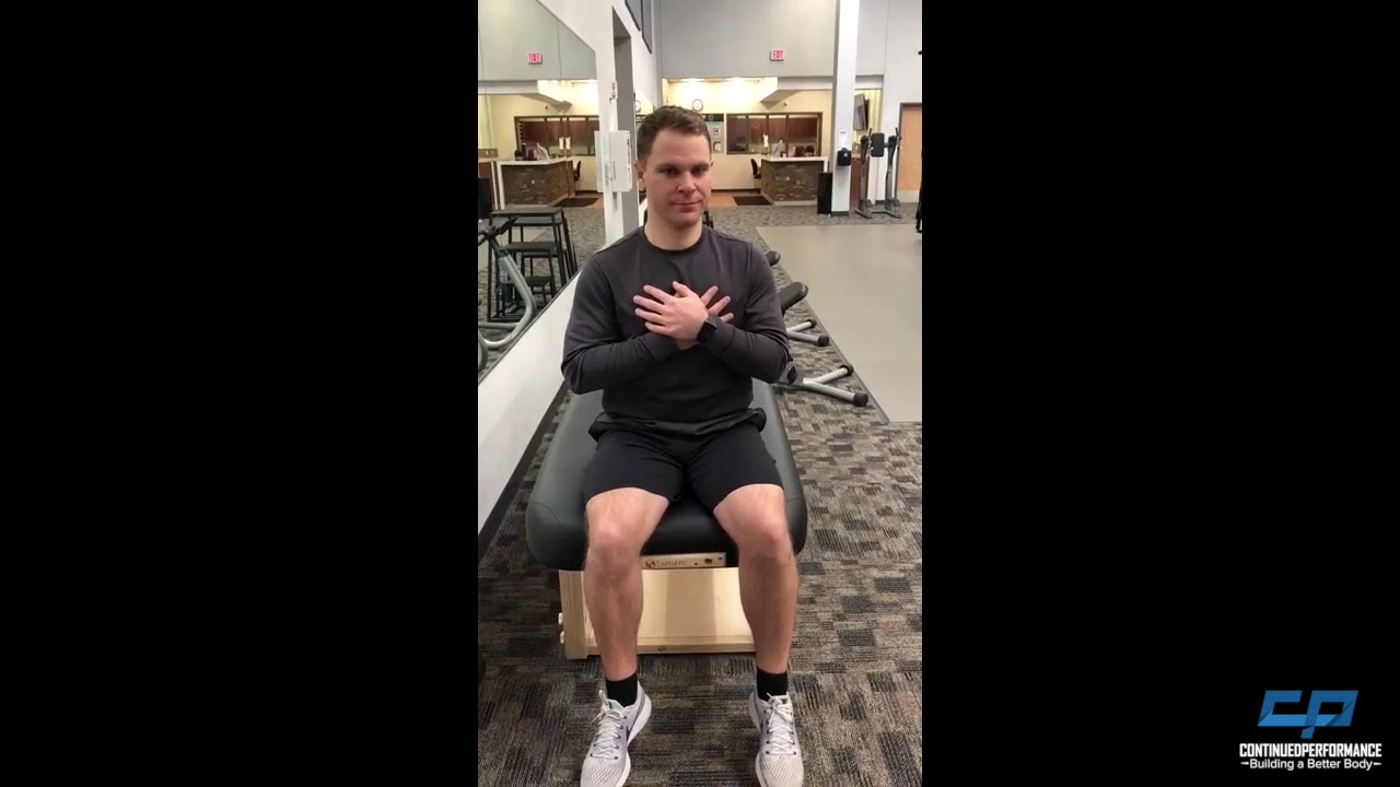 Seated Trunk Rotation Isometric - YouTube