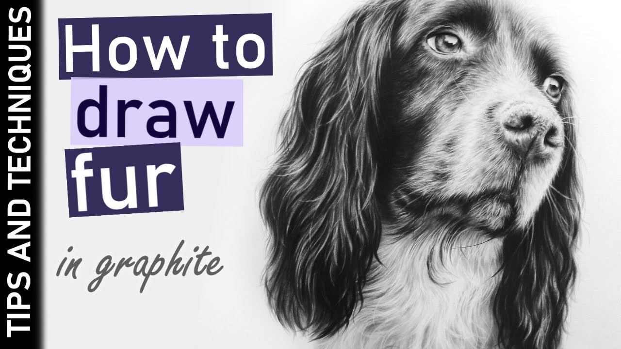 How to draw a Spaniel ear in graphite | Drawing realistic fur - YouTube