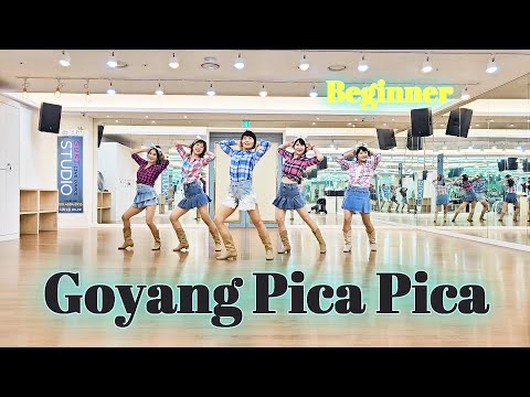 Goyang Pica Pica Line Dance (Beginner)