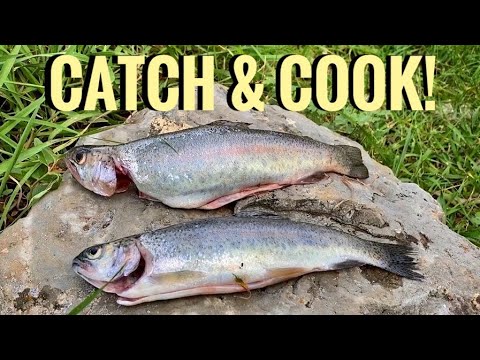 Cooking Delicious Fish Soup- Catch & Cook Trout! - YouTube