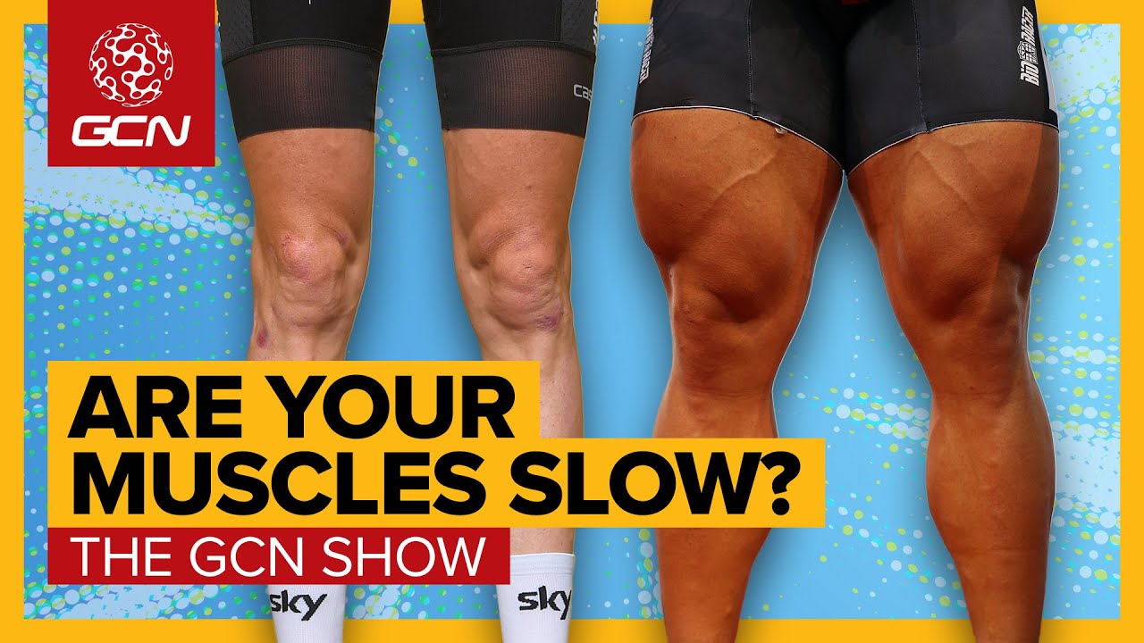 The SUPERPOWER Of Knowing Your Muscle Fibre Type | GCN Show Ep. 619 ...