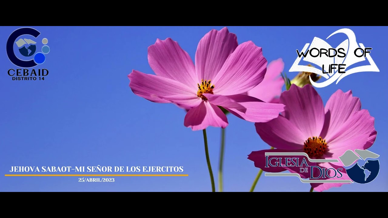 10 JEHOVA SABAOT - YouTube