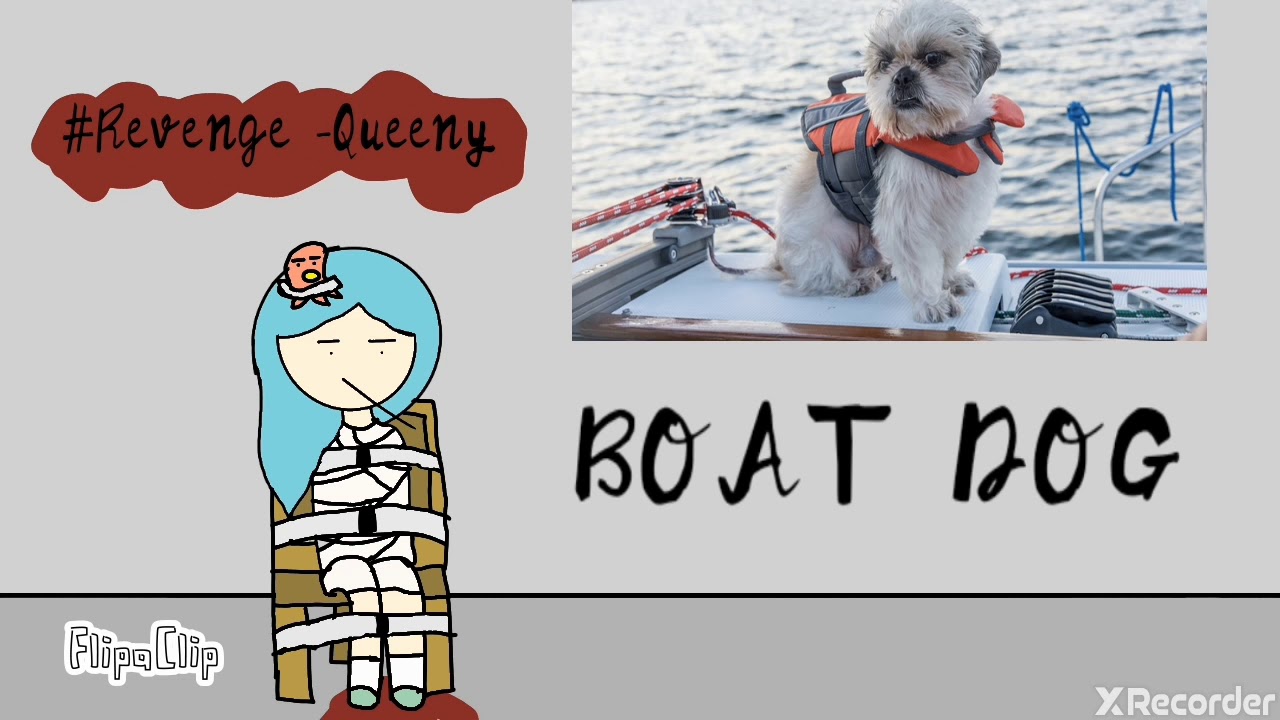 BOAT DOG Meme (Animation) - YouTube