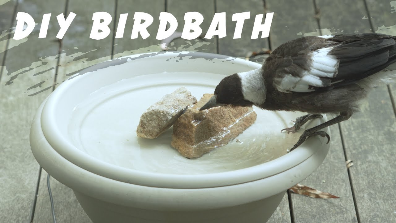 Making a bird bath with a USB pump to attract birds | DIY - YouTube