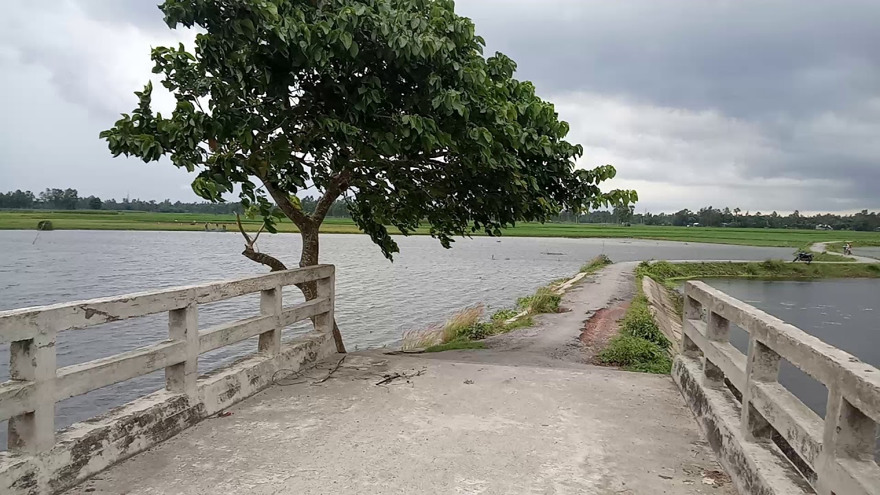 Nice place of ullapara,Sirajganj - YouTube