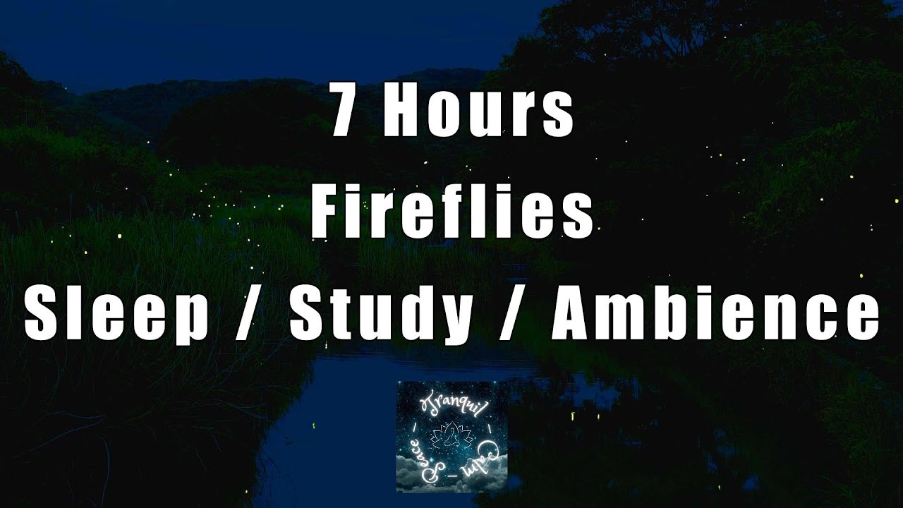 Nighttime Firefly Calm: 7-Hour Relaxing Nature Sounds for #Sleep, # ...