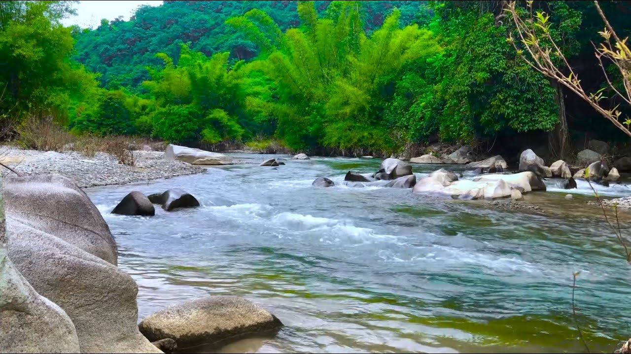 Relaxing Nature - Peaceful Scenery, Relaxing Nature Sounds, Singing ...