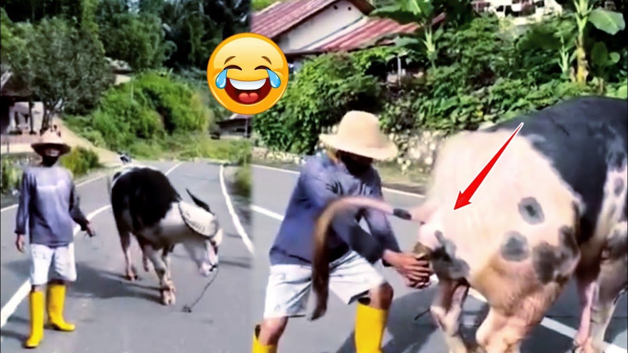 KERJA BAGUS‼️..meme kocak - YouTube