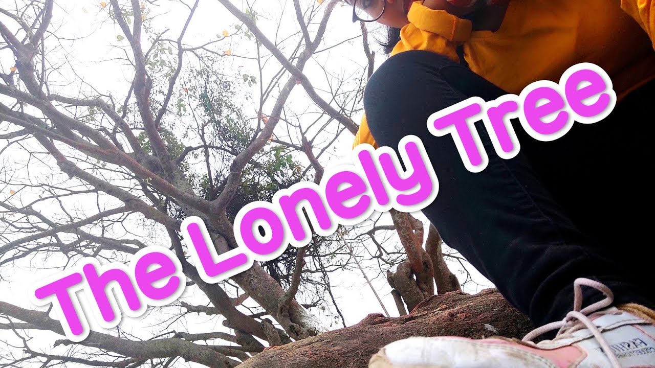 The Lonely Tree| Assam travel vlog| Guwahati diaries #Assamvlog # ...