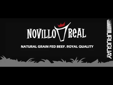 Novillo Real Presentatie - YouTube
