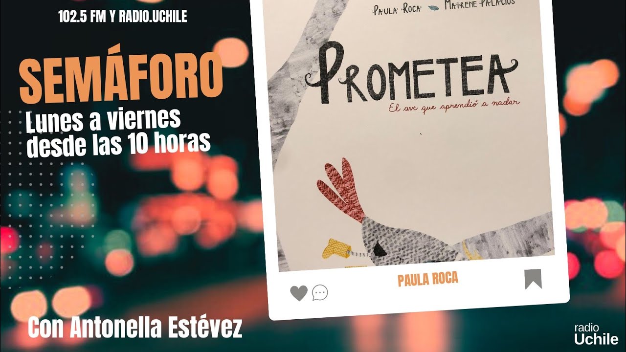Paula Roca y su libro "Prometea, el ave que aprendió a nadar" publicado ...
