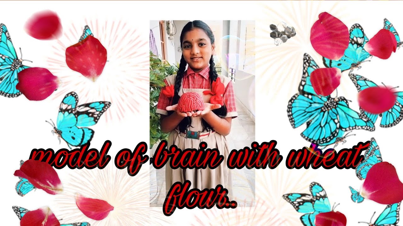 model of brain with wheat flour..🧠 - YouTube