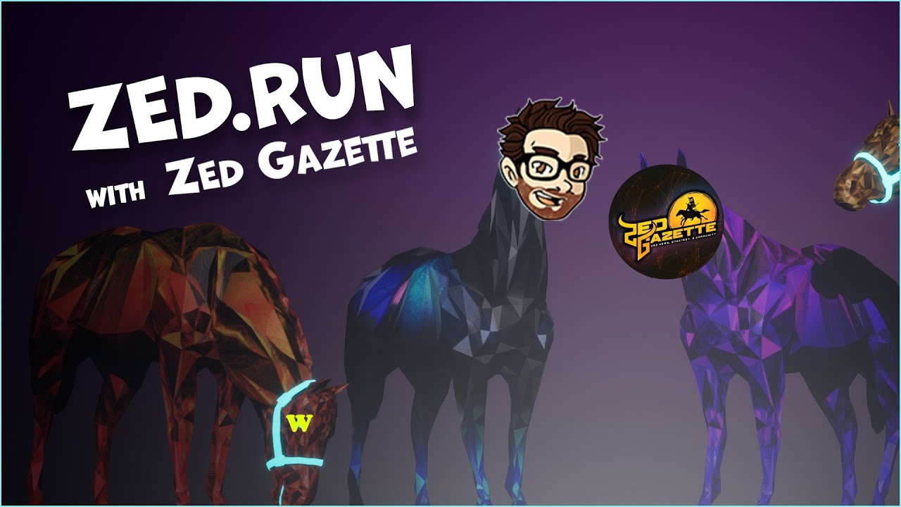 Live Footage + Interview of the Zed Run Mega Drop W/Zed Gazette - YouTube