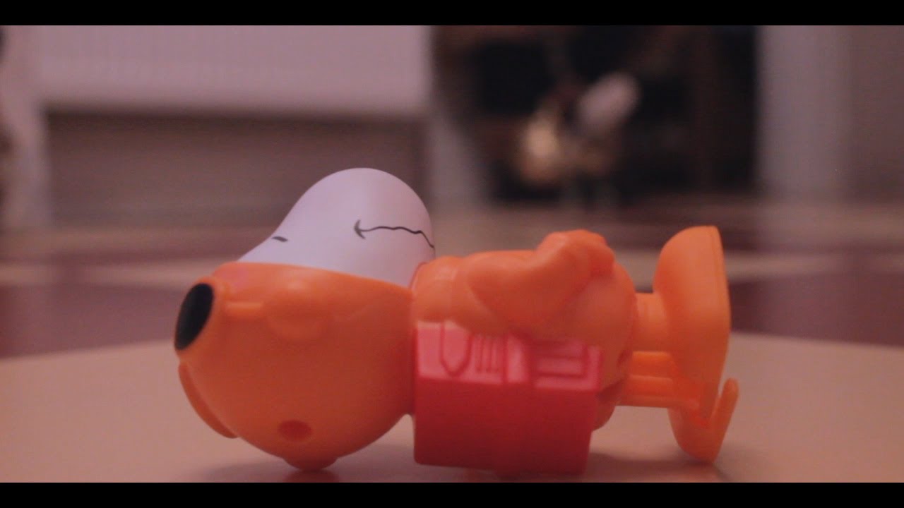 The Death of Snoopy - YouTube