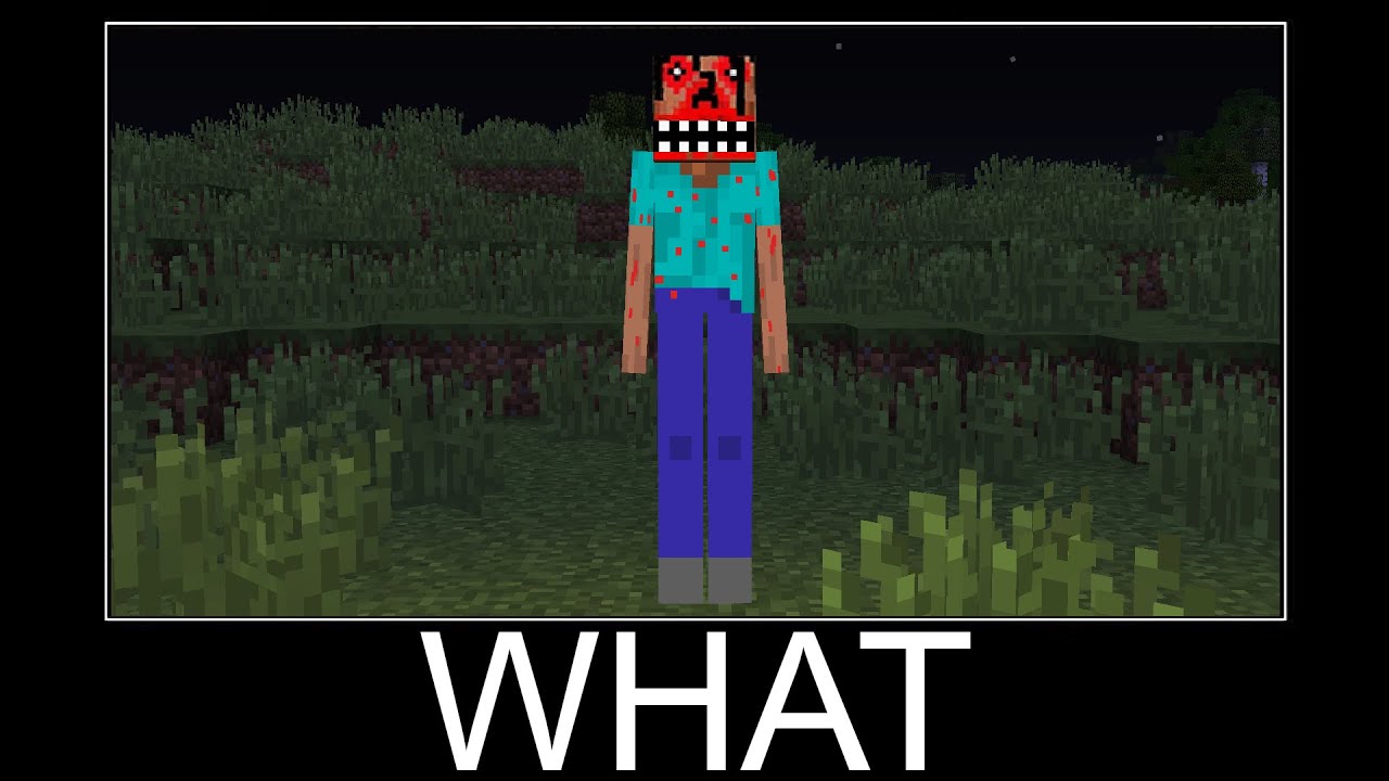 Wait What Scary Herobrine Minecraft Meme - @JoSa Craft @Not Safe @zFazT ...
