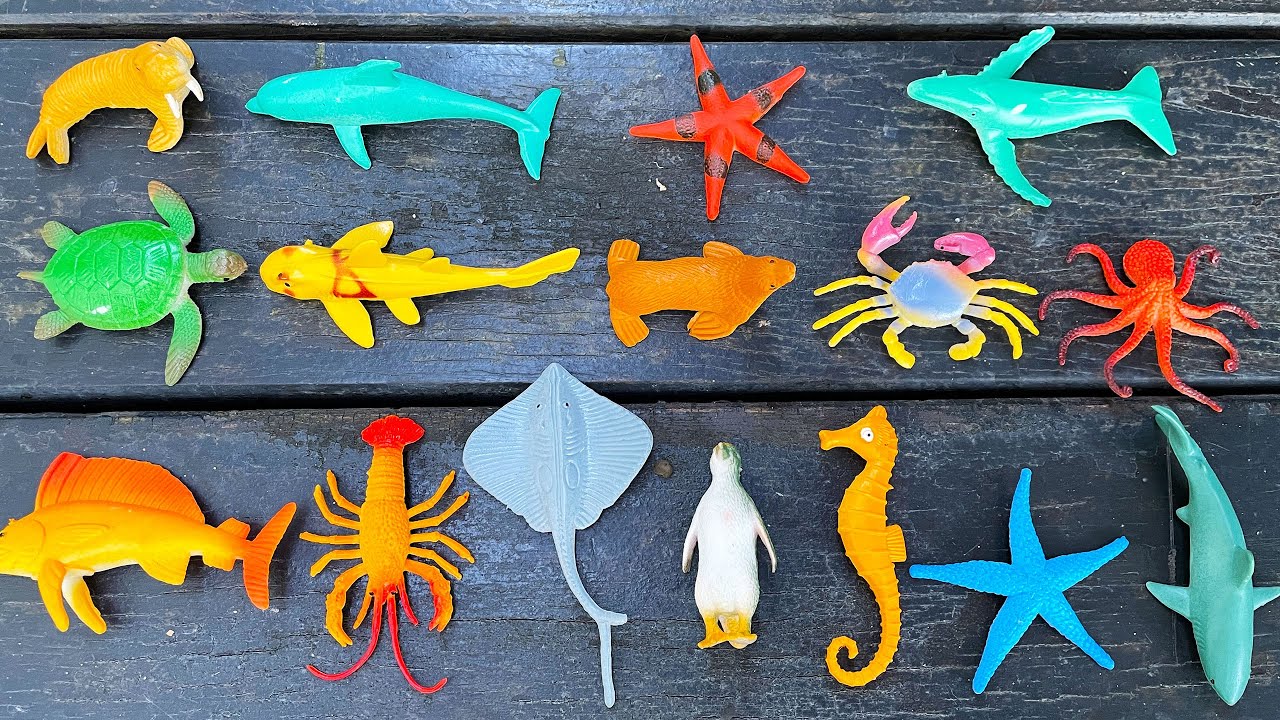 Plastic Sea Animals - Shark Whale Stingray Walrus Orca Penguin Dolphin ...