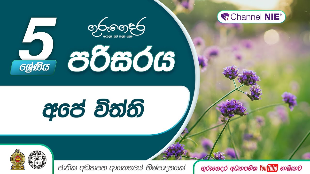 අපේ විත්ති 05 ශ්රේණිය පරිසරය Youtube